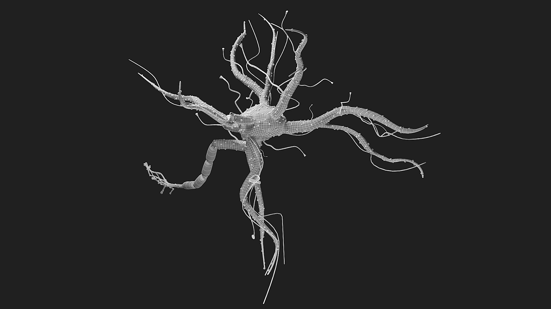 3D Nerve Cell - TurboSquid 1963109