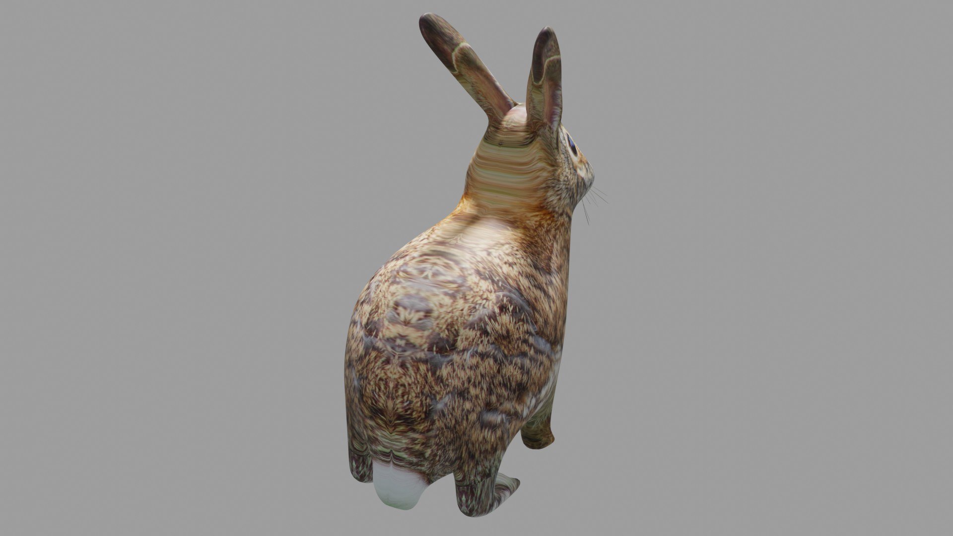 Rabbit OBJ 3D model - TurboSquid 2163319