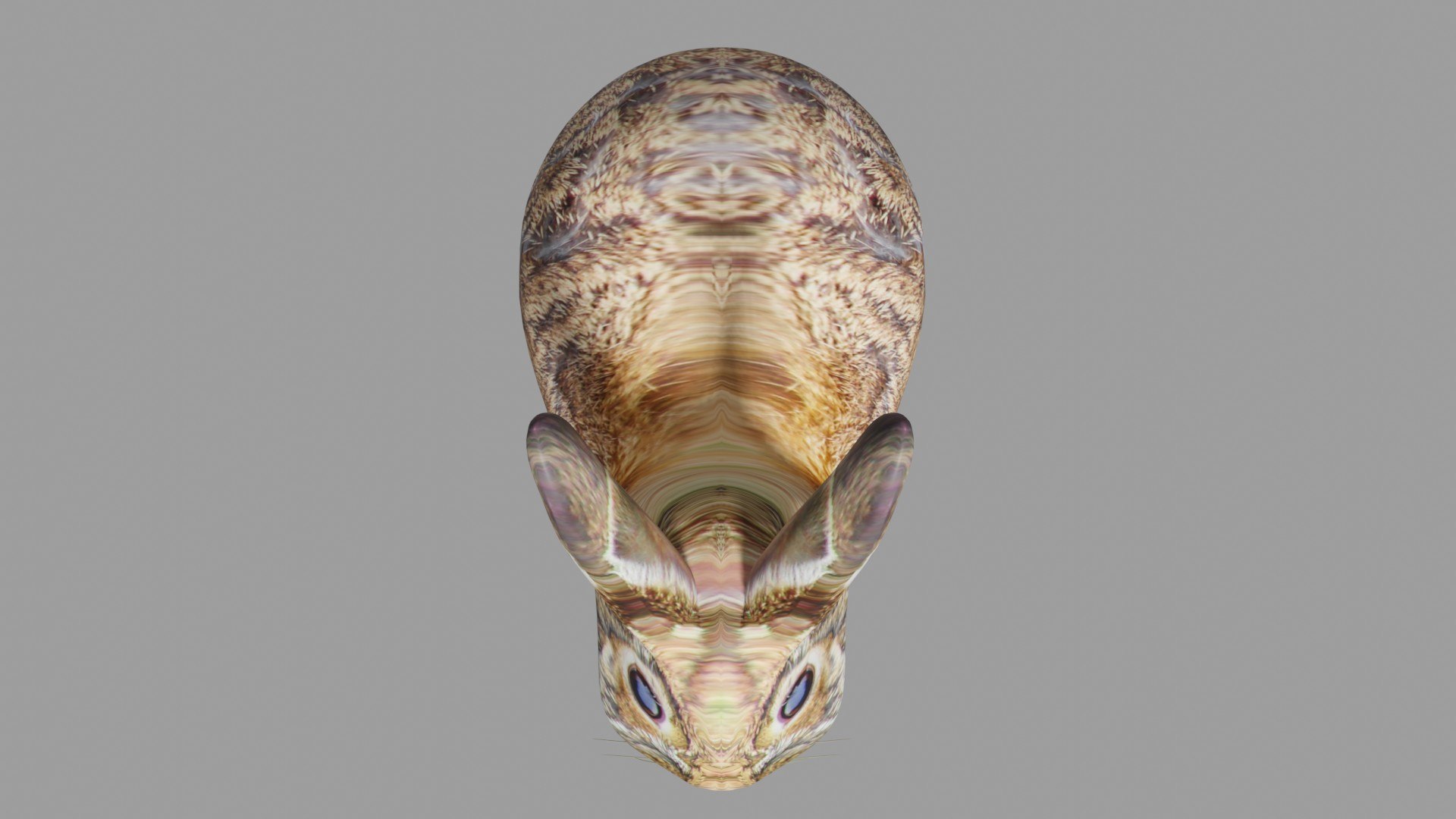 Rabbit OBJ 3D model - TurboSquid 2163319