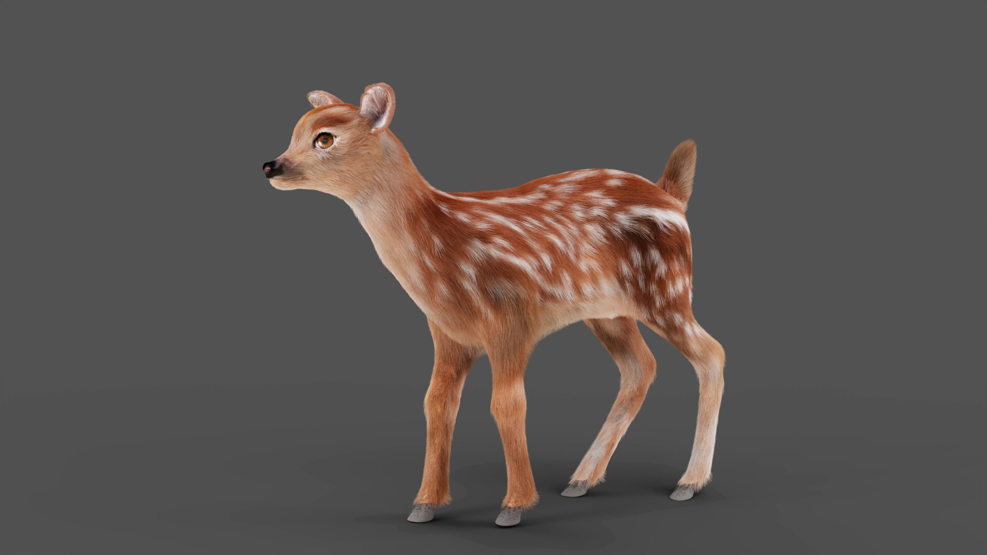 3D Model Fur Fawn Deer Rigged Blender - TurboSquid 1978485