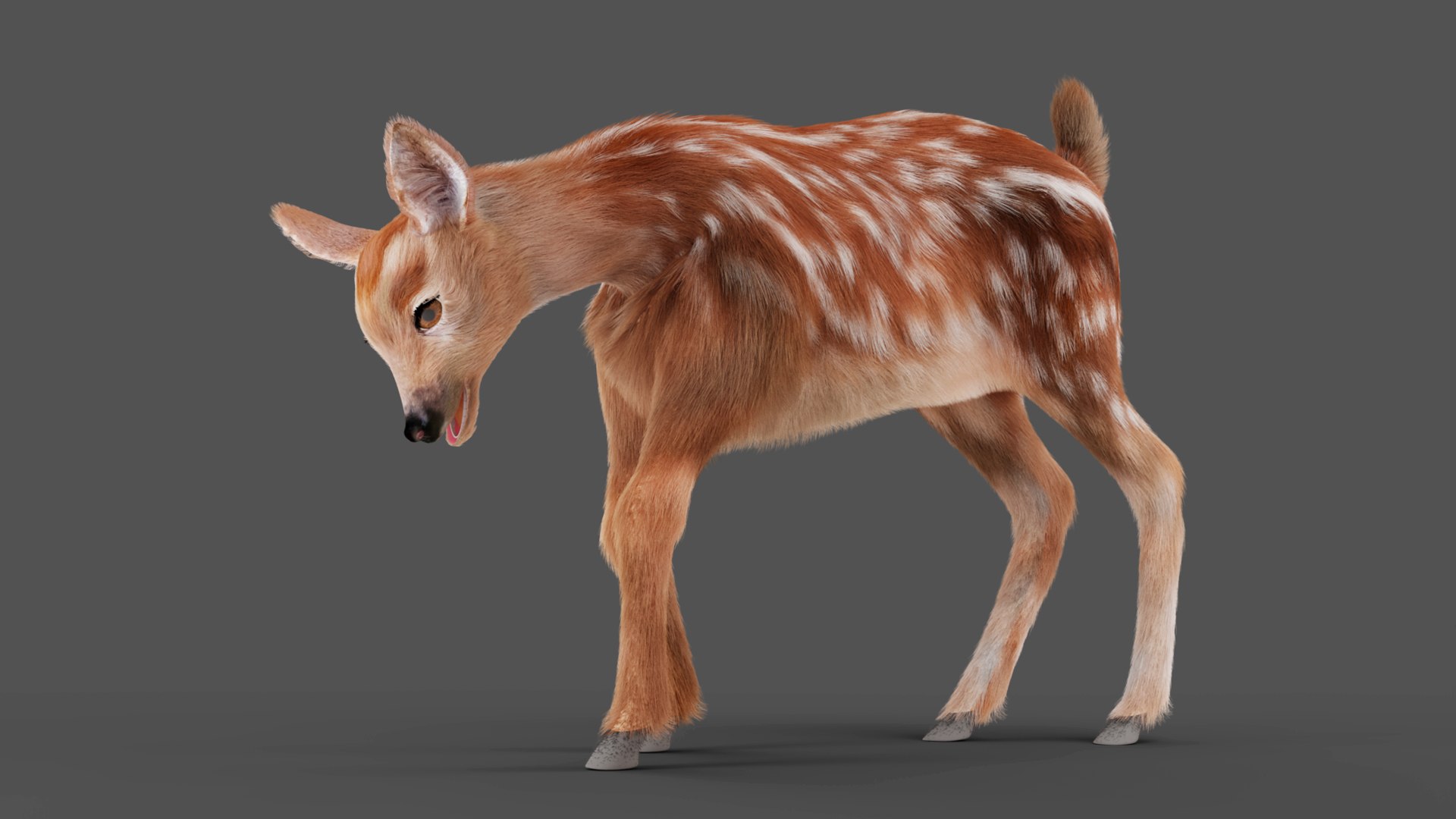 3D Model Fur Fawn Deer Rigged Blender - TurboSquid 1978485