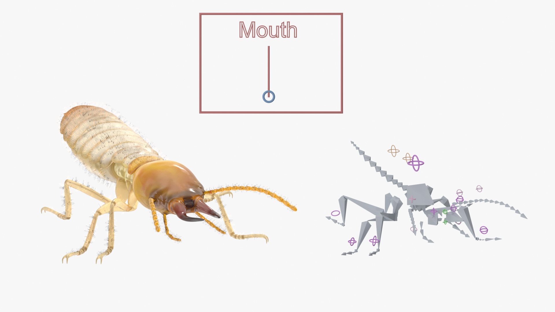 3D Termite Rigged - TurboSquid 2328330