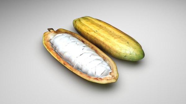 Cacao 3D Modelos para Descargar | TurboSquid