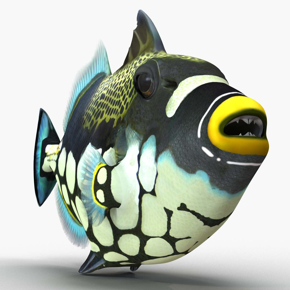 clown trigger fish 3d c4d