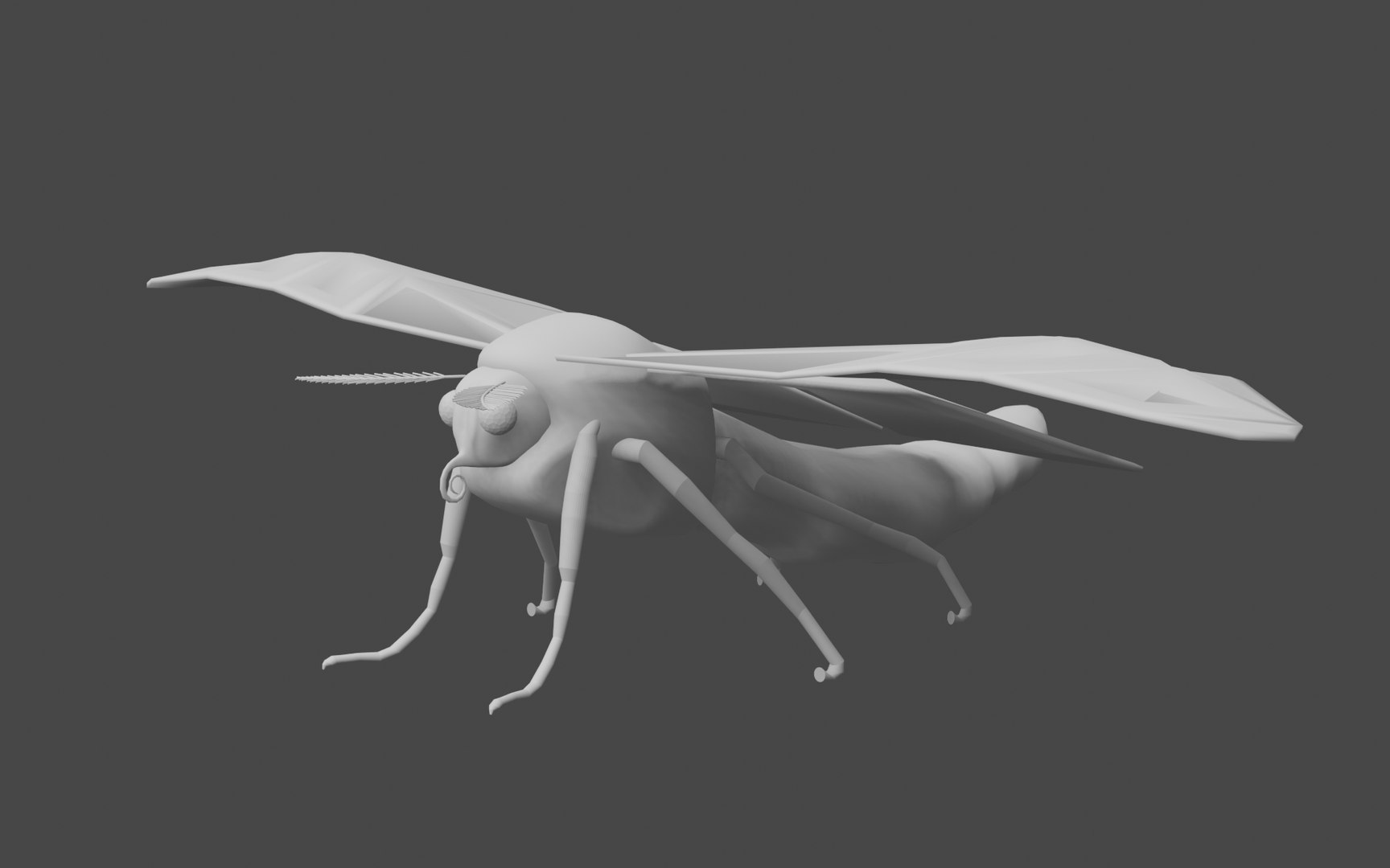 Free 3D Model Moth - TurboSquid 1756530