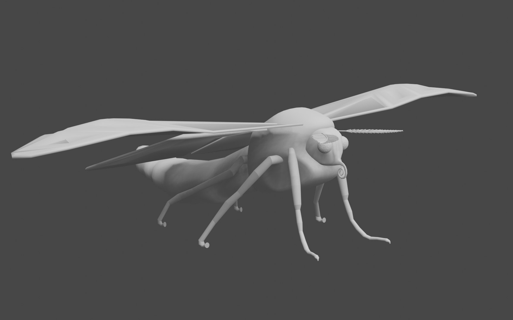 Free 3D Model Moth - TurboSquid 1756530