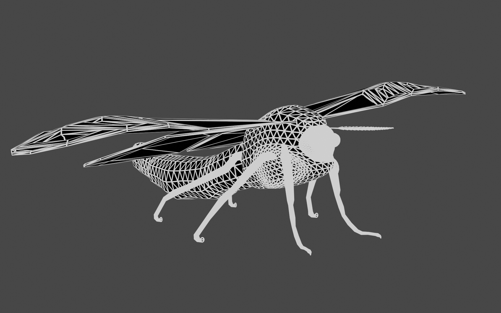 Free 3D model Moth - TurboSquid 1756530
