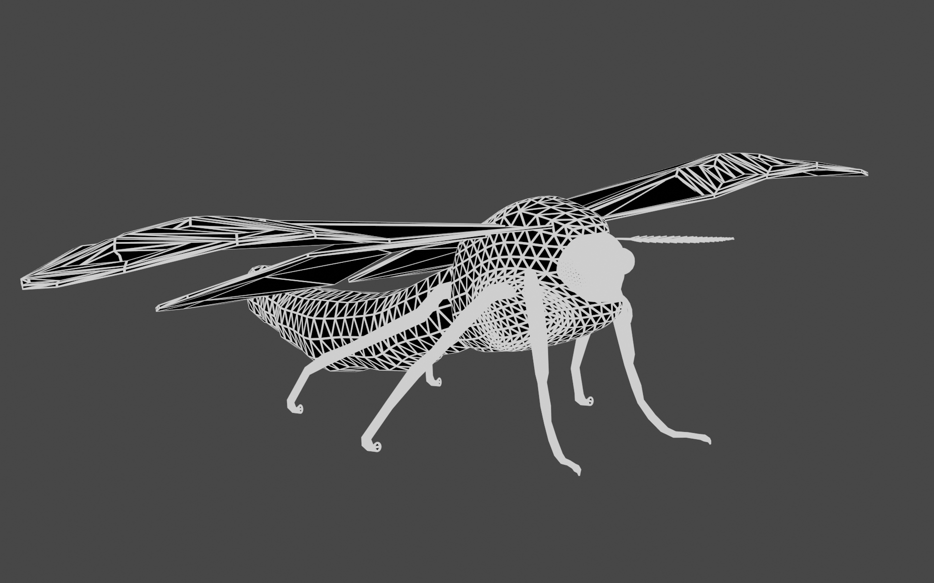 modèle 3D de Papillon gratuit - TurboSquid 1756530