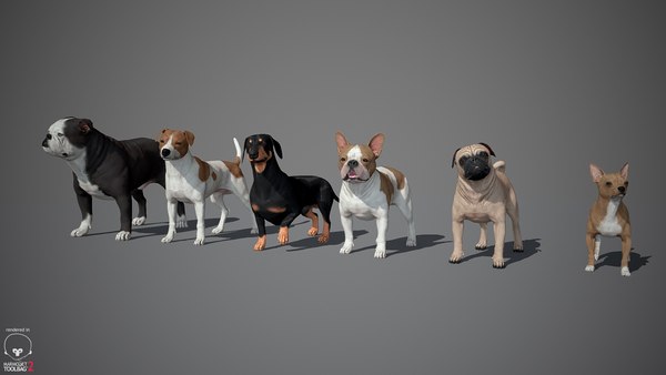 3d model companion dog pack