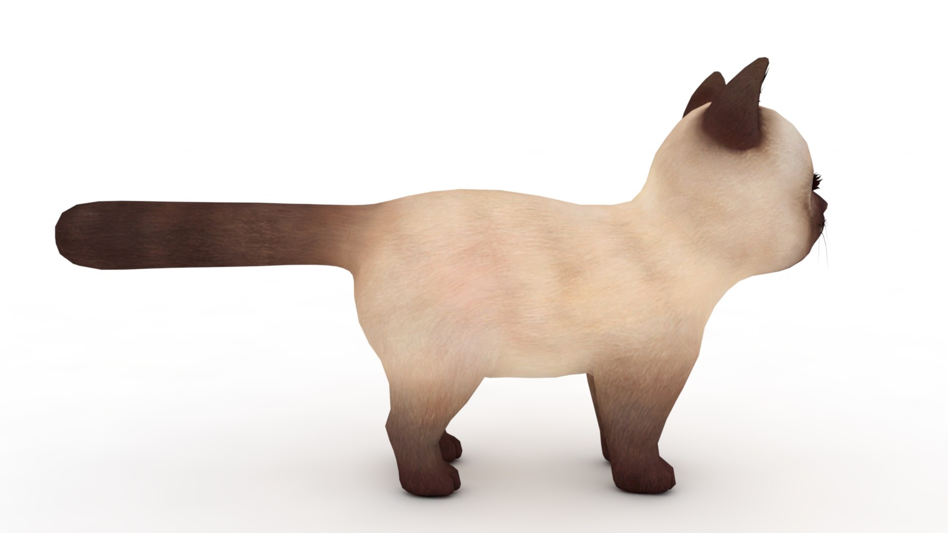 Kitty Cat 3D Model - TurboSquid 2013785