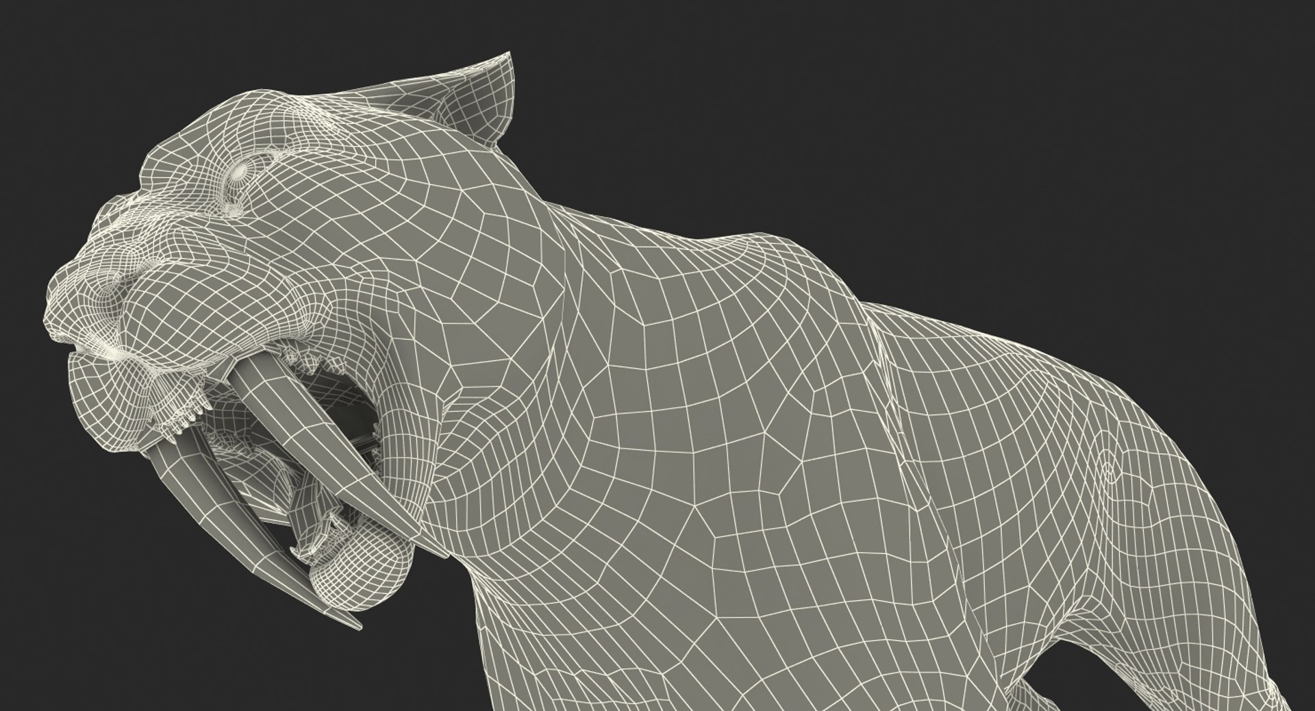 3D model saber tooth tiger rigged - TurboSquid 1379333