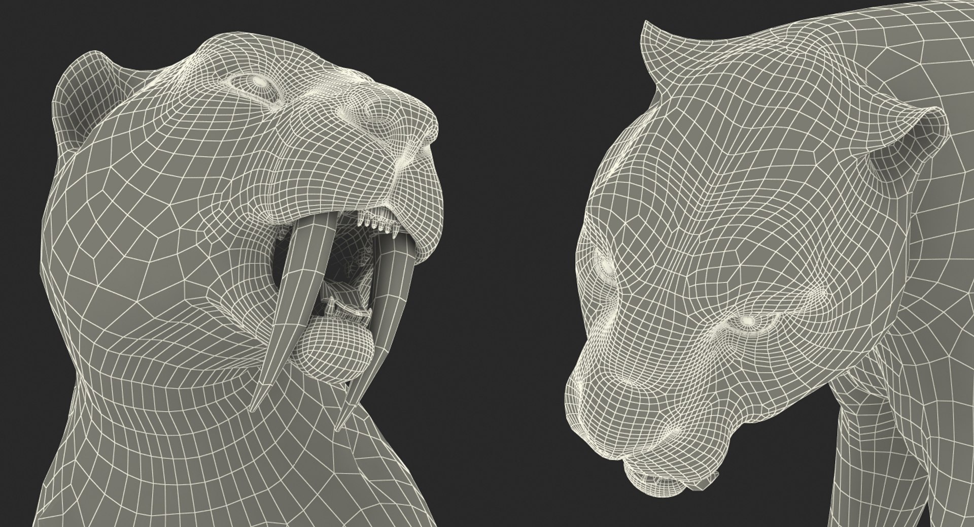 3D model saber tooth tiger rigged - TurboSquid 1379333