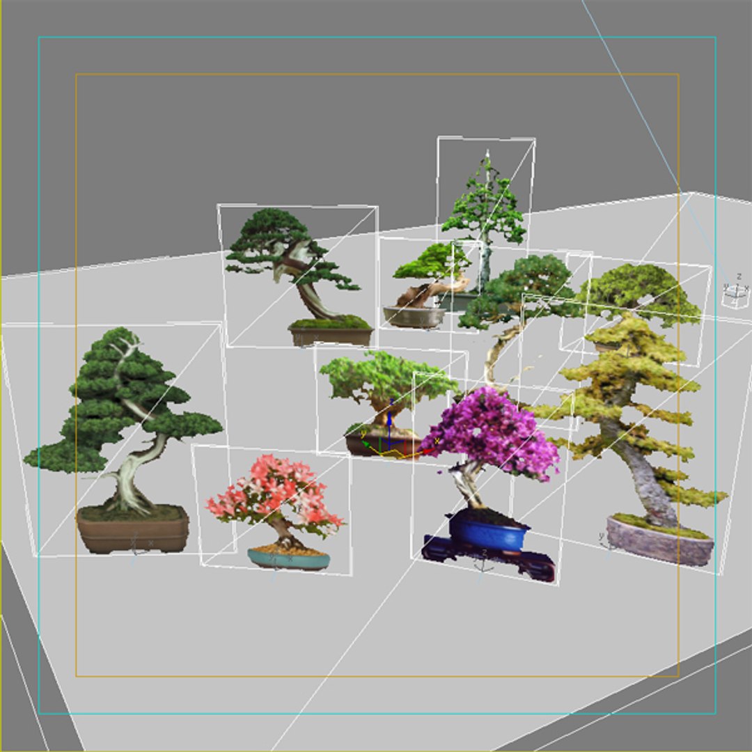 max dwarfish trees plant