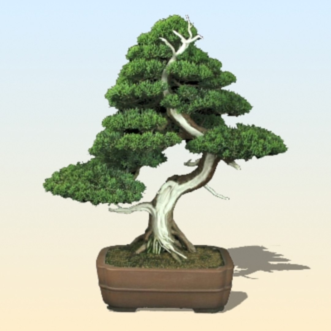 max dwarfish trees plant