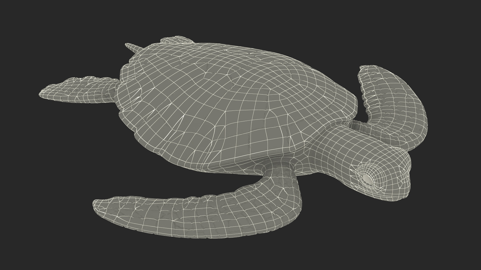 3D Realistic Sea Turtle Rigged - TurboSquid 2217441