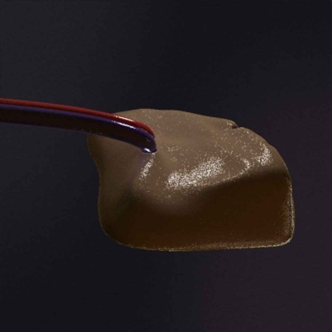 3d Realistic Human Spleen Model