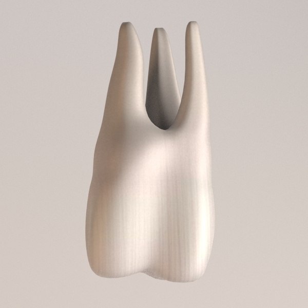 3d second molar model