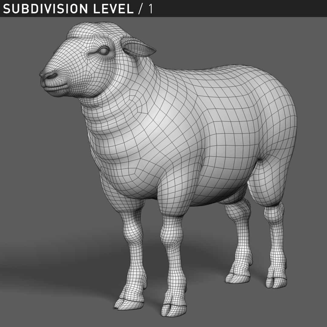 3d model sheep fur