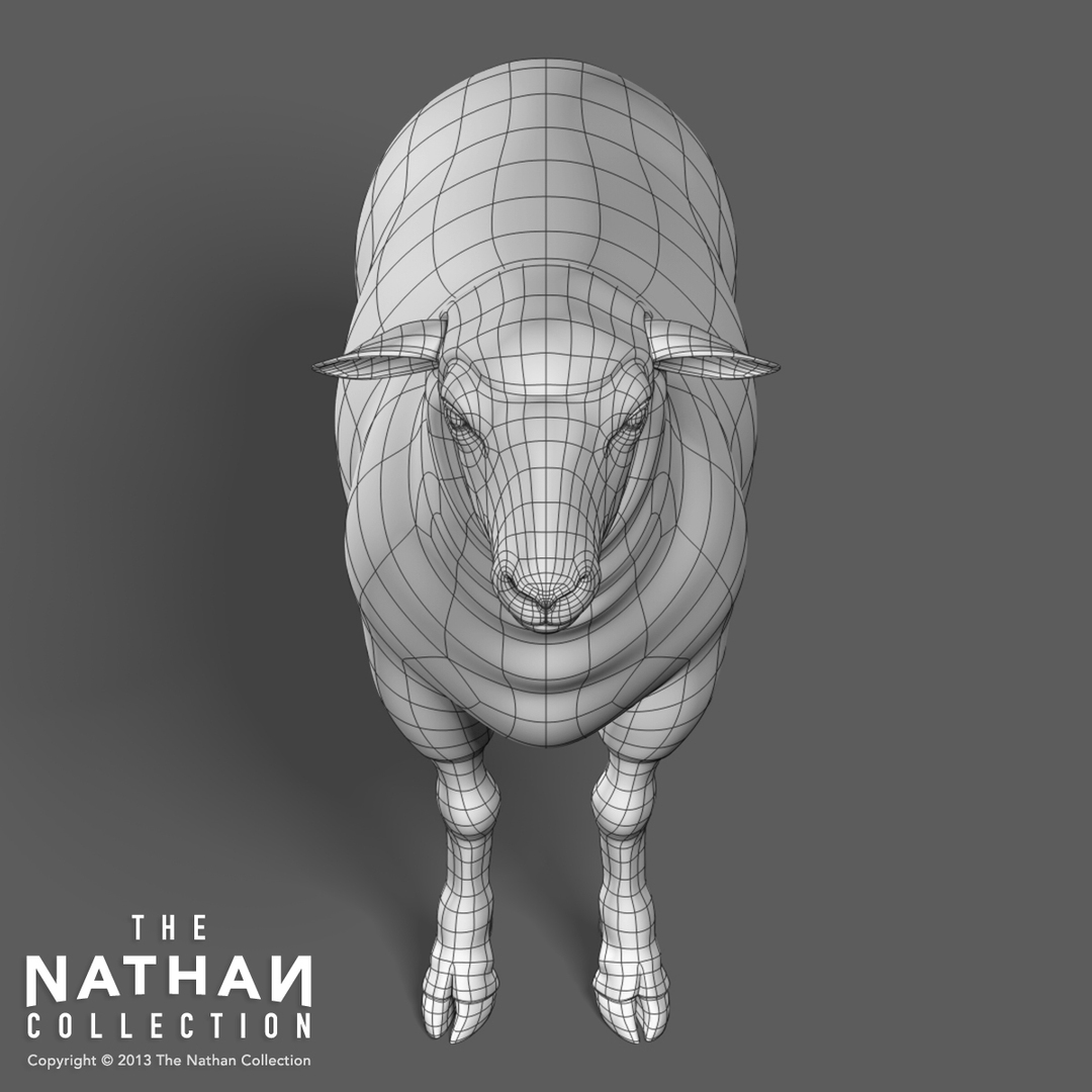 3d model sheep fur