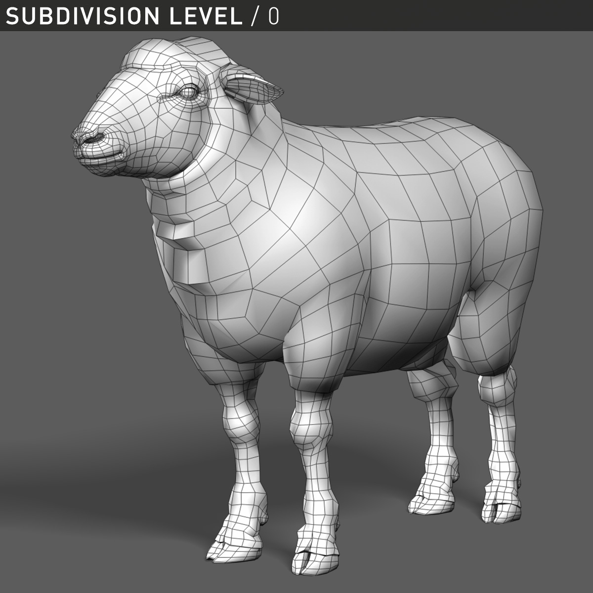 3d model sheep fur