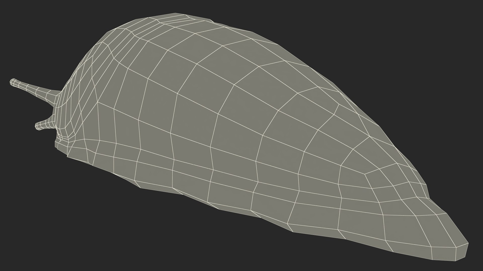 3D Slug Dusky Arion Rigged - TurboSquid 2013452