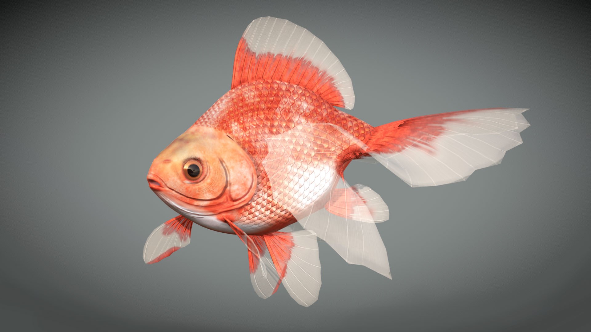 3D Model Fish Goldfish - TurboSquid 1667357