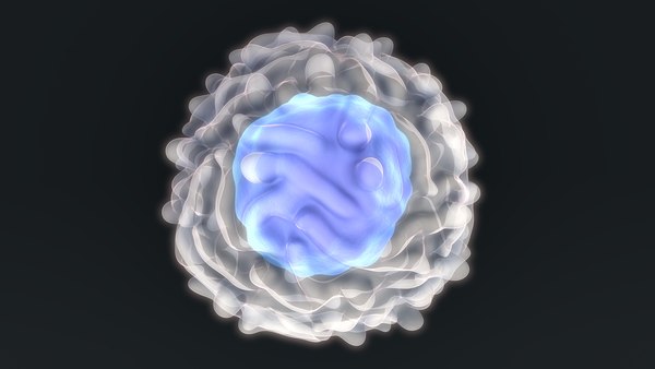 3d white blood cell model