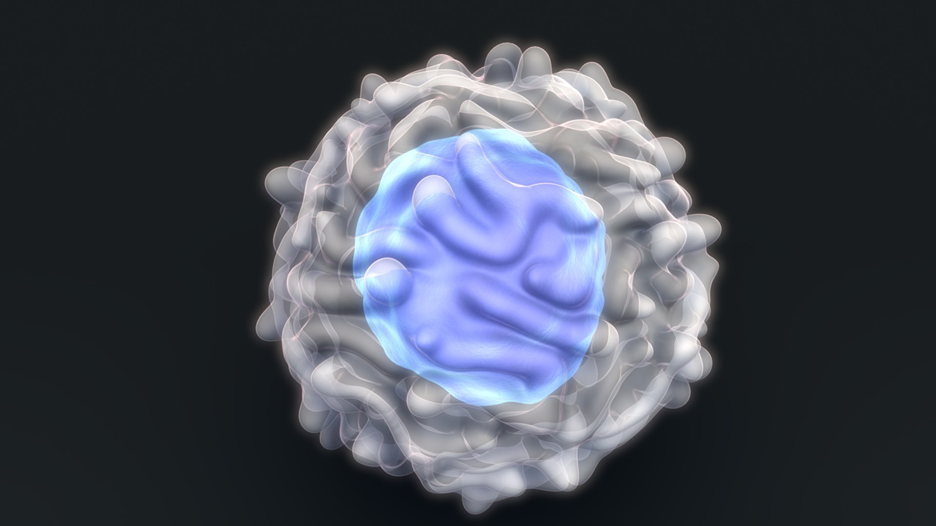 3d White Blood Cell Model
