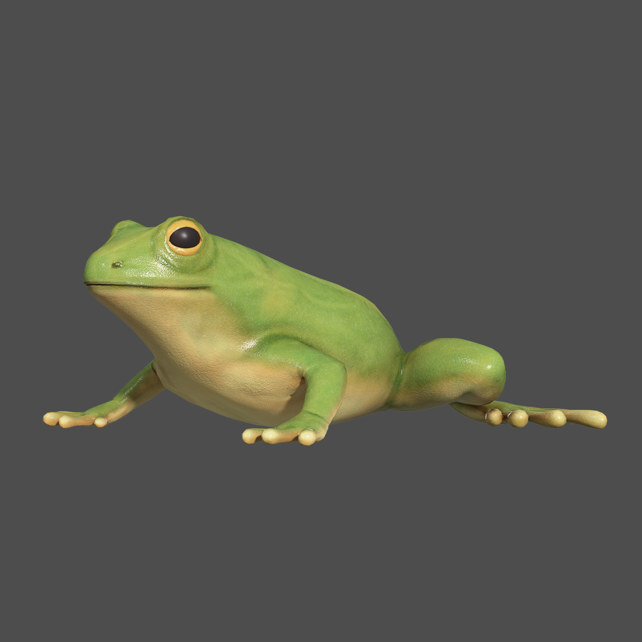 3D model modelled texturing rigging - TurboSquid 1535800