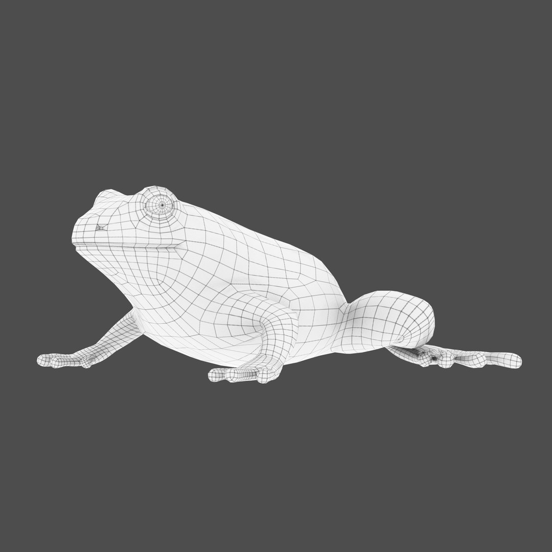 3D Model Modelled Texturing Rigging - TurboSquid 1535800