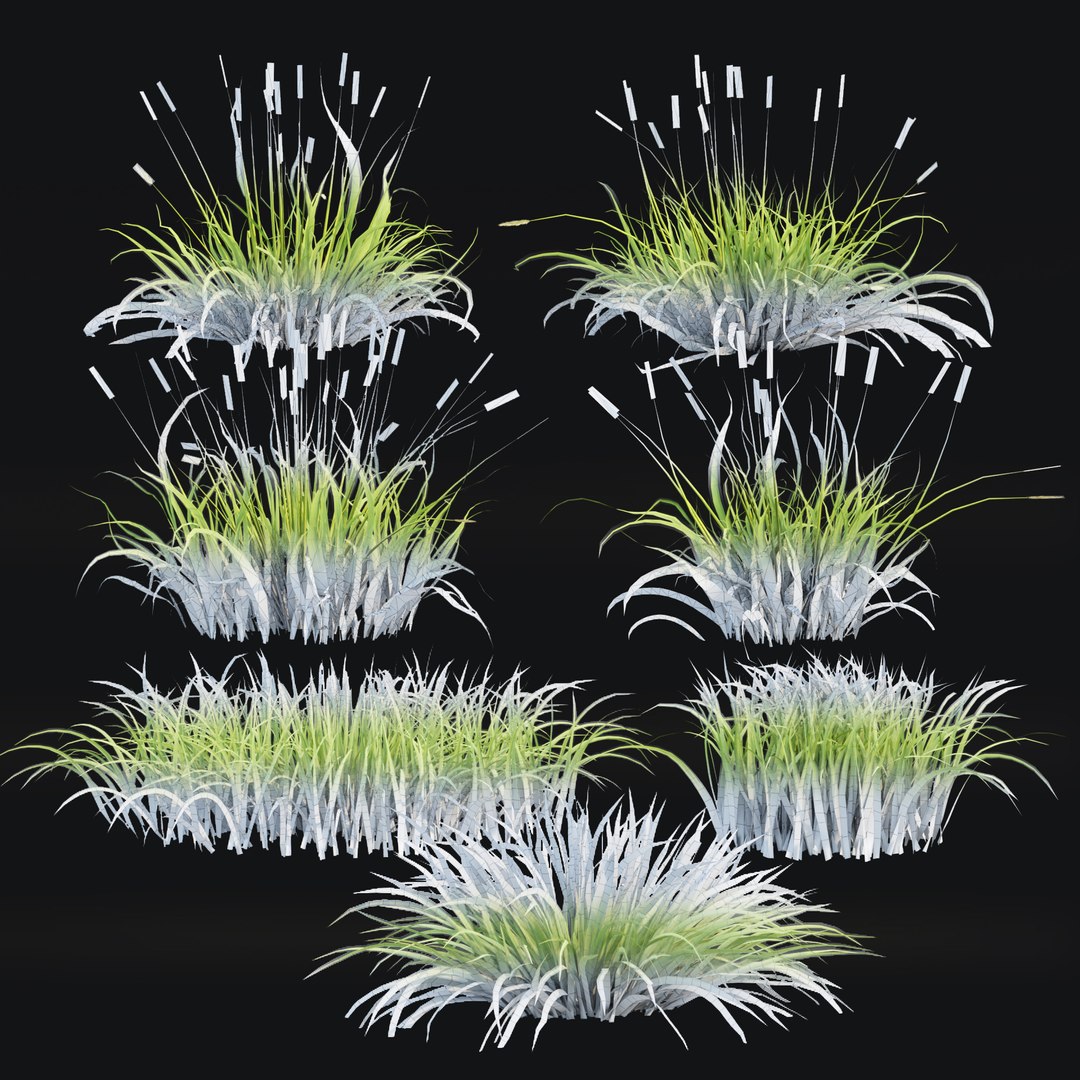 3D Model Summer Wild Grass Collection Vol 224 - TurboSquid 2092746