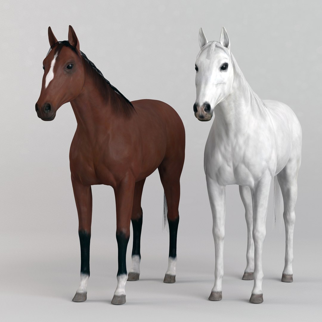 3d Realistic Horse Games Model