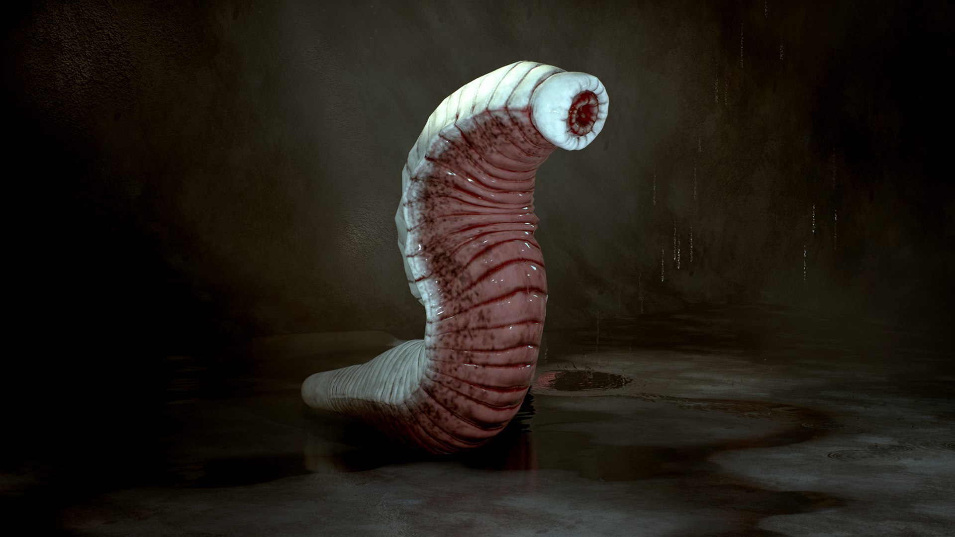 3D Model Giant Leeches - TurboSquid 1337052