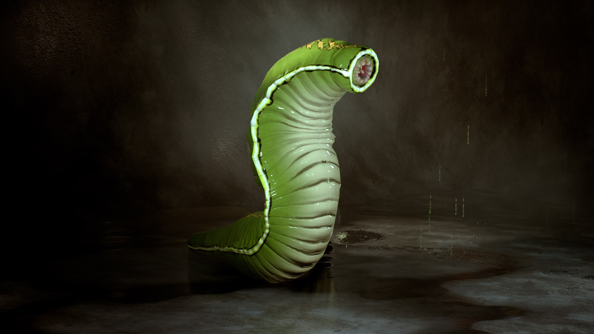 3D Model Giant Leeches - TurboSquid 1337052