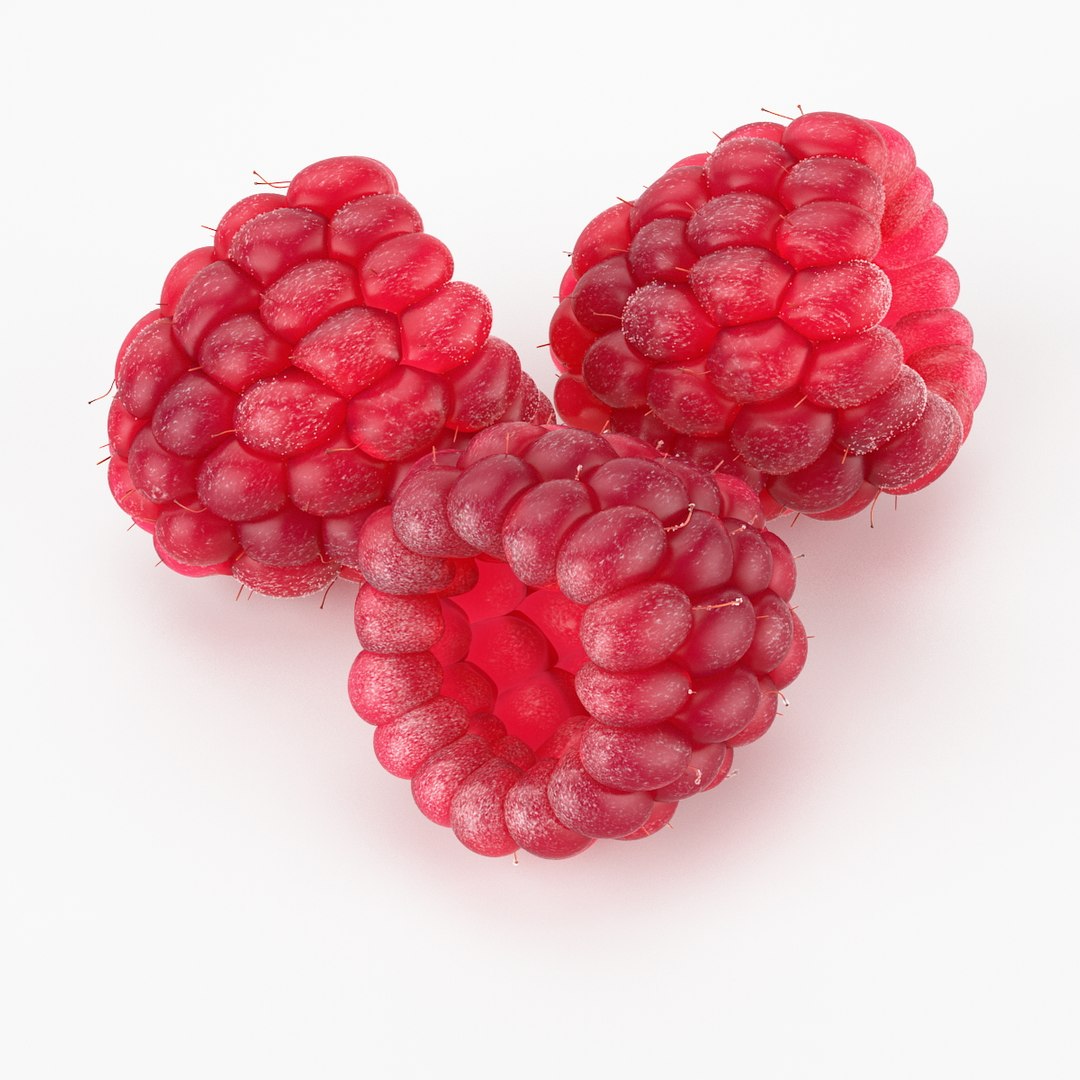 3d Realistic Raspberry Real Fruit Model