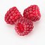 3d Realistic Raspberry Real Fruit Model