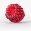 3d Realistic Raspberry Real Fruit Model