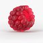 3d Realistic Raspberry Real Fruit Model