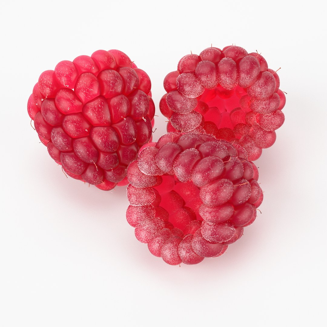 3d Realistic Raspberry Real Fruit Model