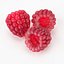 3d Realistic Raspberry Real Fruit Model