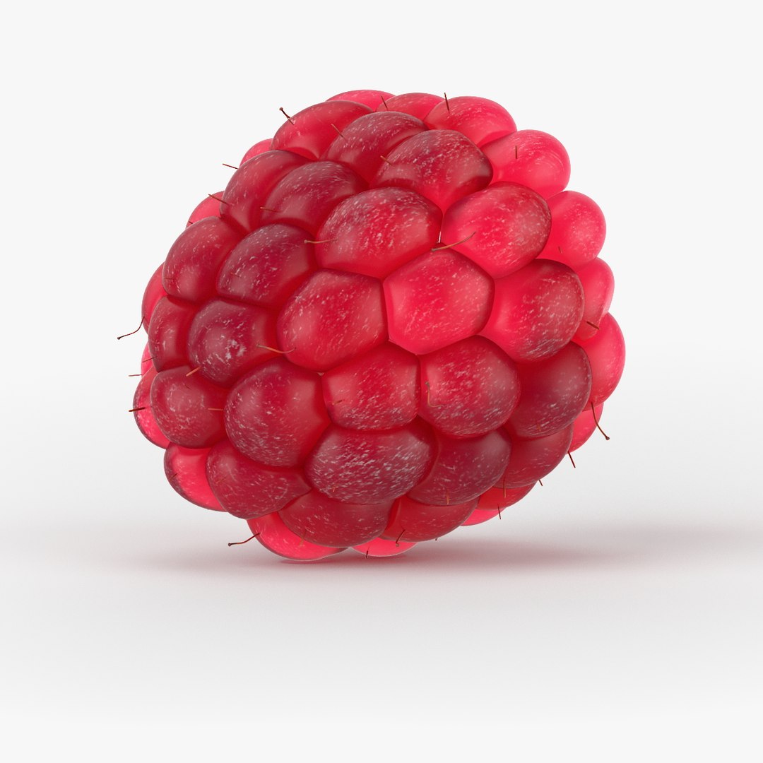 3d Realistic Raspberry Real Fruit Model