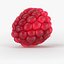 3d Realistic Raspberry Real Fruit Model