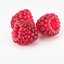 3d Realistic Raspberry Real Fruit Model