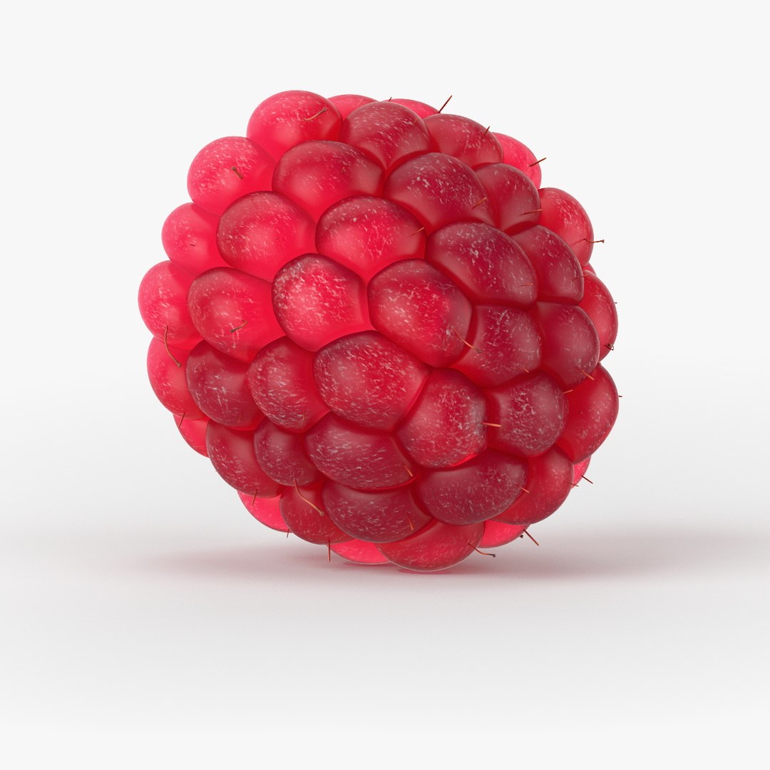 3d Realistic Raspberry Real Fruit Model