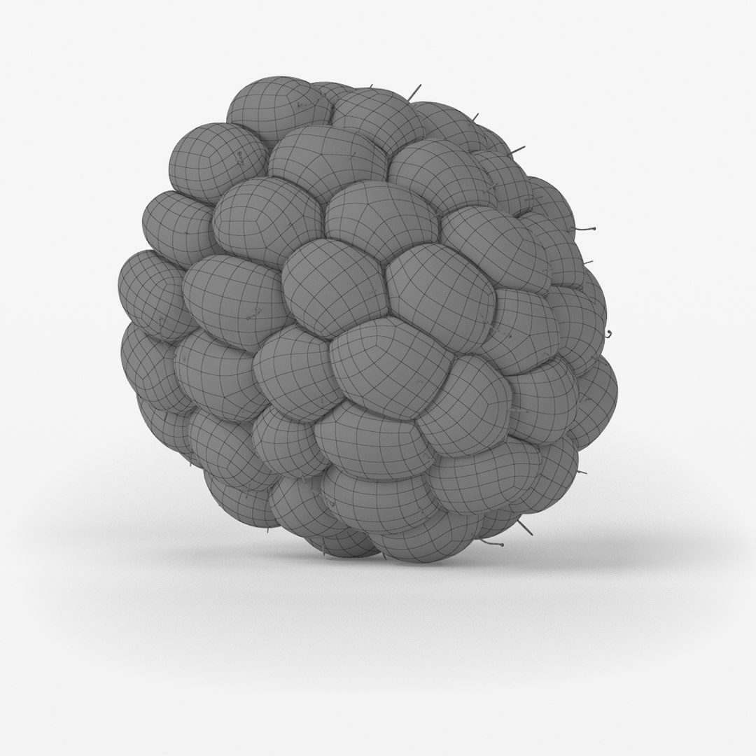3d Realistic Raspberry Real Fruit Model