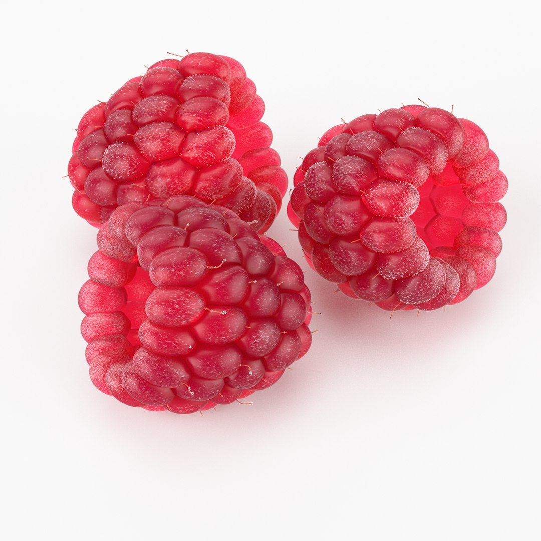 3d Realistic Raspberry Real Fruit Model