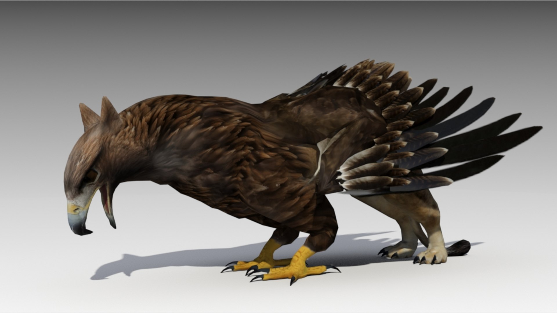 3d Model Griffin Animations
