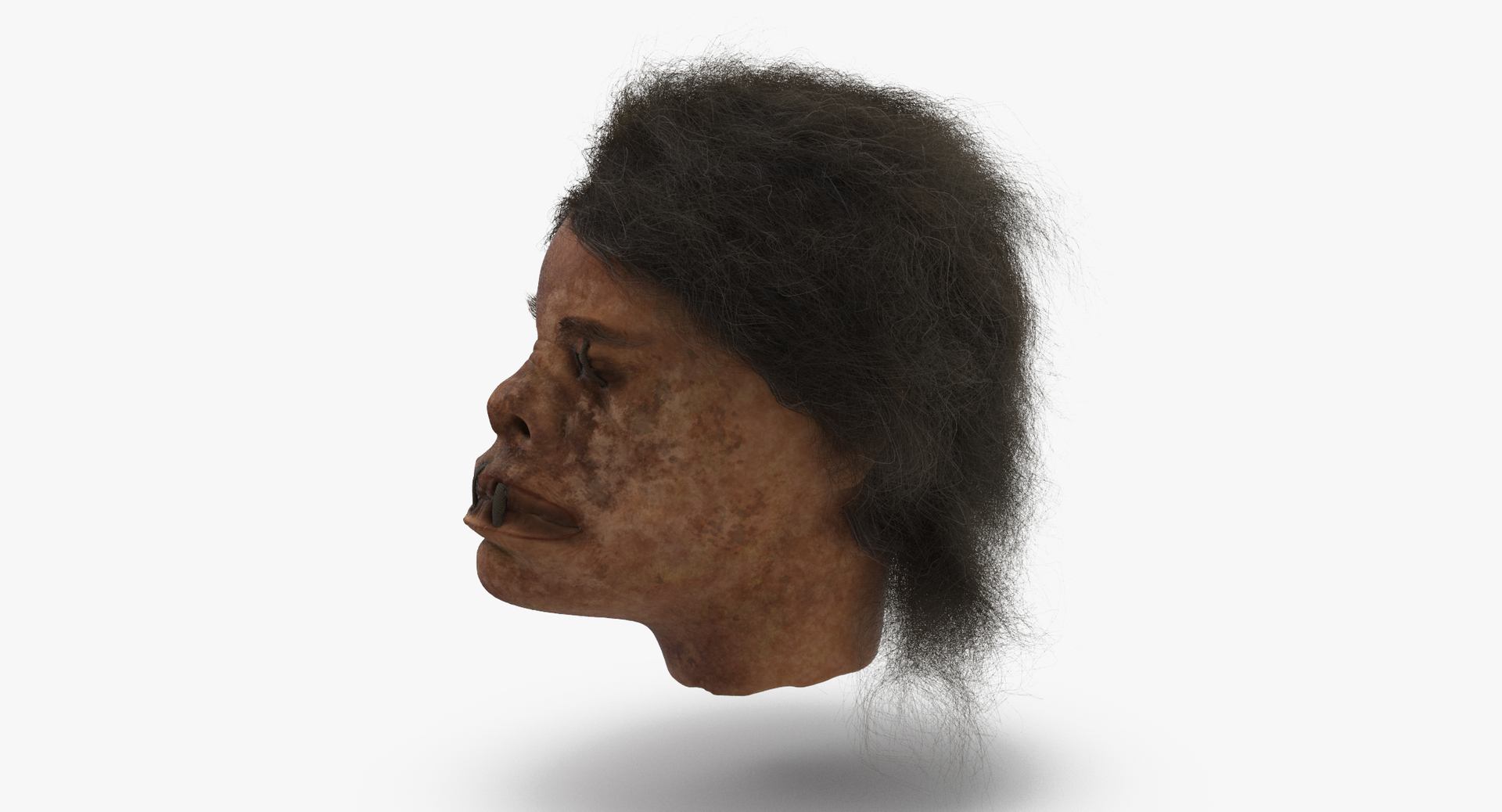 3D 3 shrunken heads model - TurboSquid 1174735