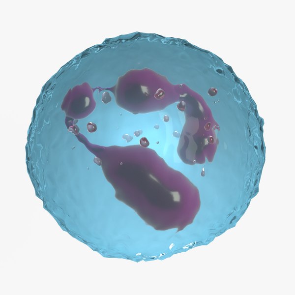 3D fat cells - TurboSquid 1365143