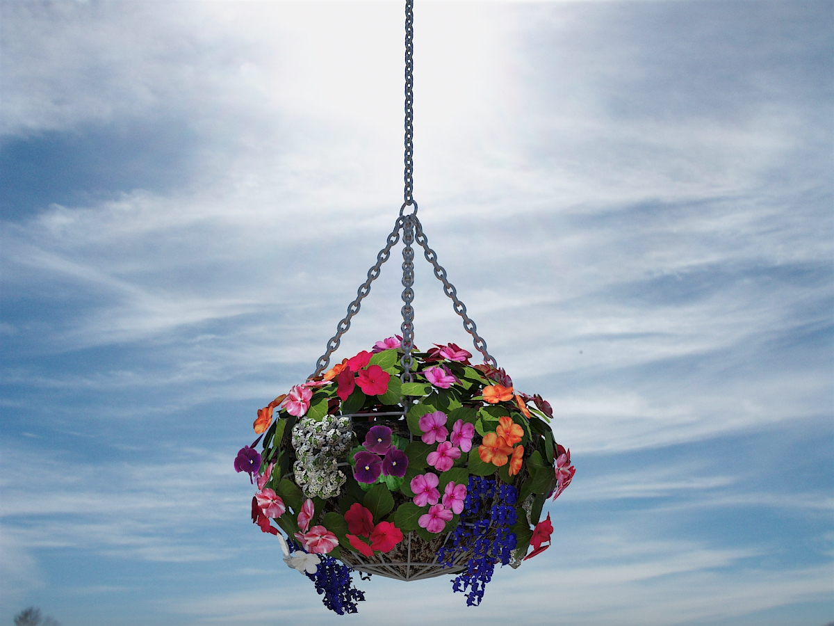 3d hanging flower basket model